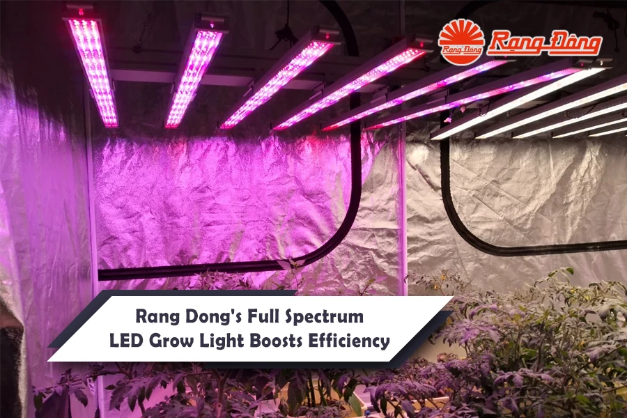 RANG DONG'S FULL SPECTRUM LED GROW LIGHT BOOSTS EFFICIENCY